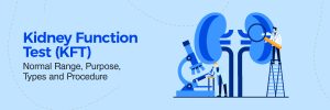 Kidney Function Test (KFT): Normal Range, Purpose, Types and Procedure ...