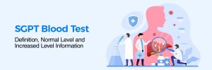 SGPT Test: Definition, Need and Tips for Healthy Levels
