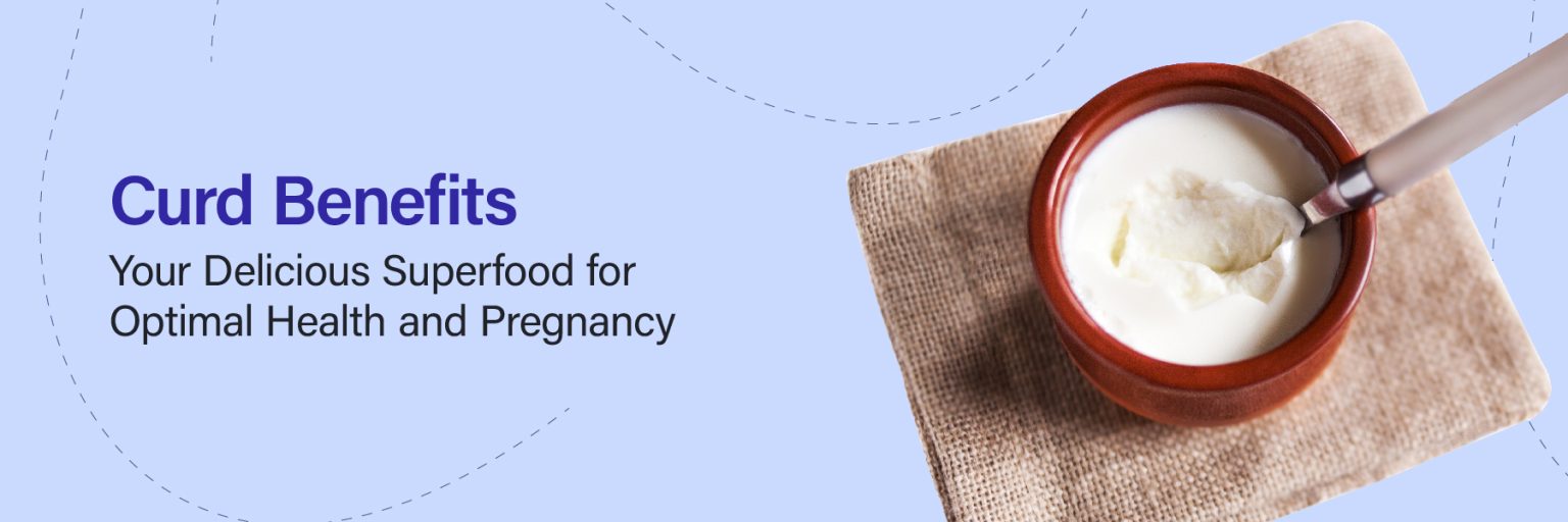 Curd Benefits and Nutrition: A Superfood for Health and Pregnancy